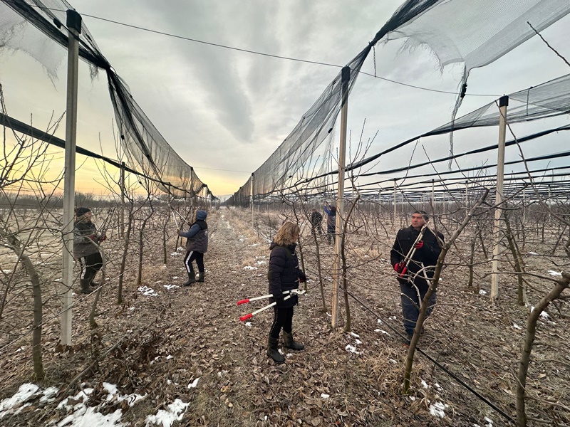 GLAS ZAPADNE SRBIJE - Evo da li vremenske oscilacije uticu na zimsku ...